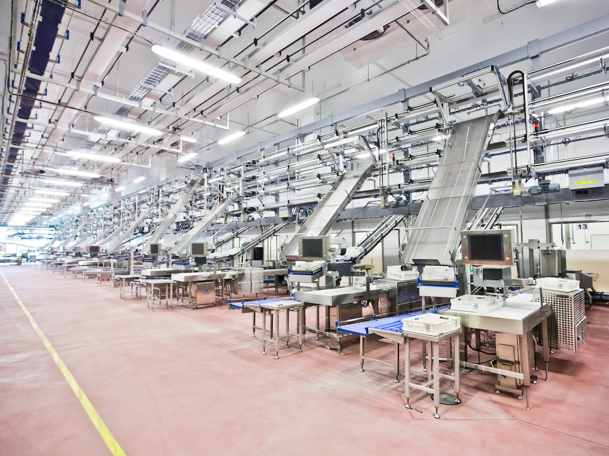 Hohe Qualitätsansprüche – Produktion bei EDEKA