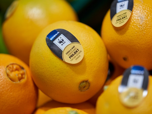 Starke Partner, klare Ziele: Der EDEKA-Verbund und der WWF